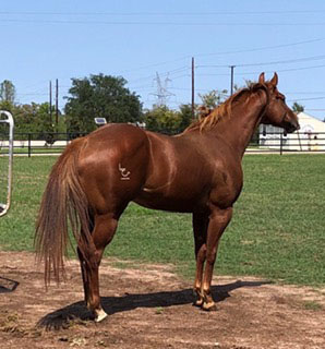 FLYING COWBOY 123 - Blazinfire