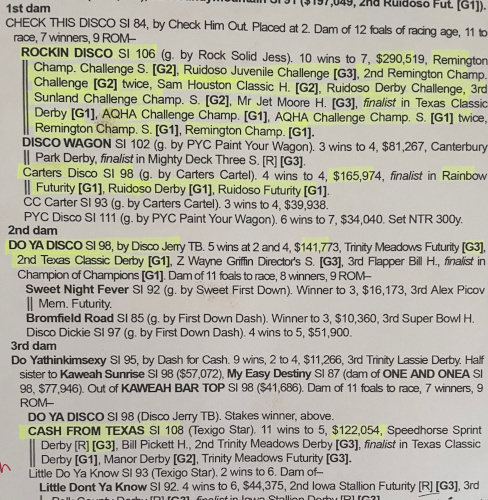 ASHLYNNS DISCO HERO - Blazinfire