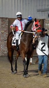Racing Age - Blazinfire - Racing Quarter Horses For Sale