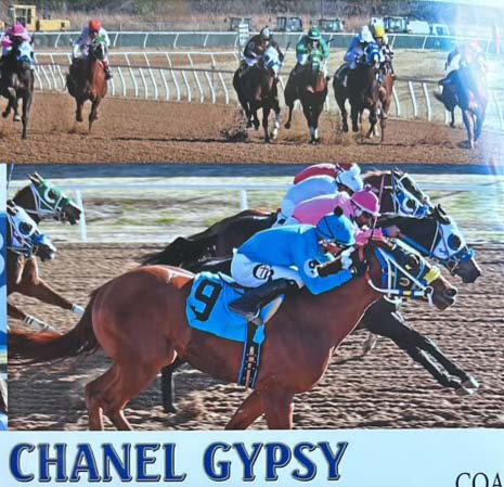 CHANEL GYPSY - Blazinfire